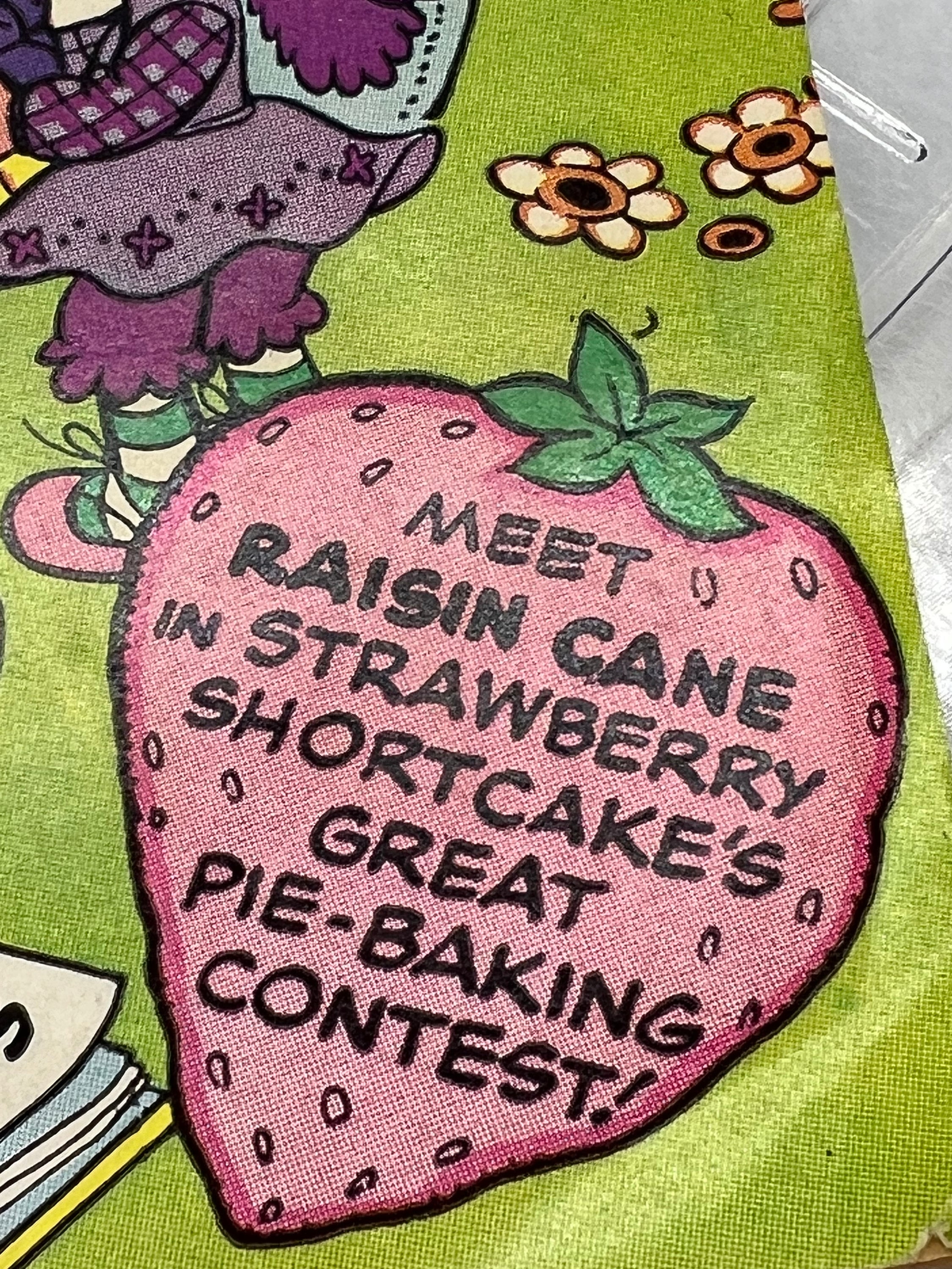 1984 Strawberry Shortcake Star Comics Marvel Meet Raisin Cane. - Etsy