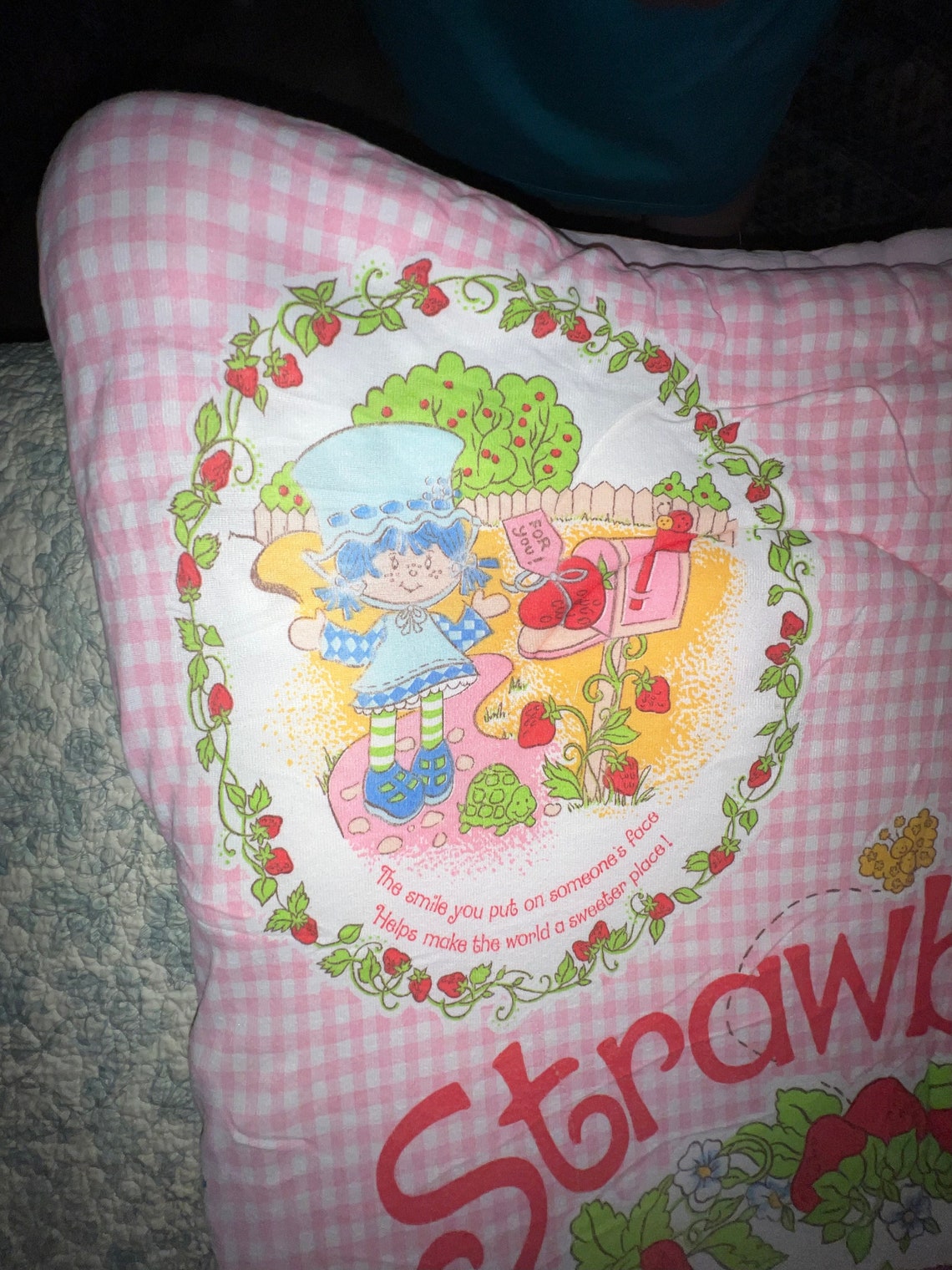 Vintage Rare Strawberry Shortcake 1980's Sleeping Bag - Etsy