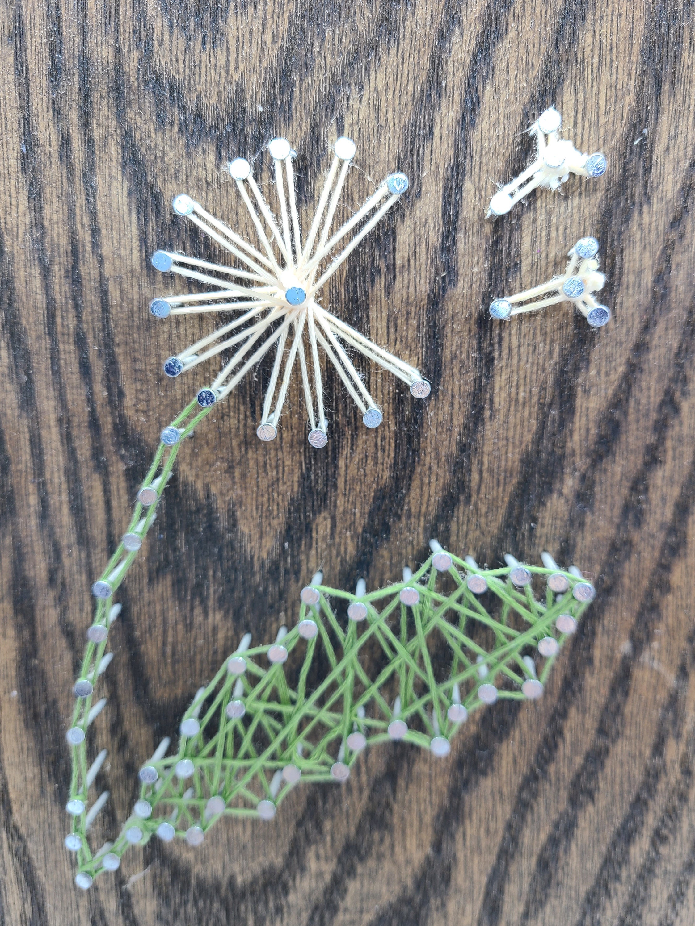 Vintage Dandelion String Art Plaque | Etsy