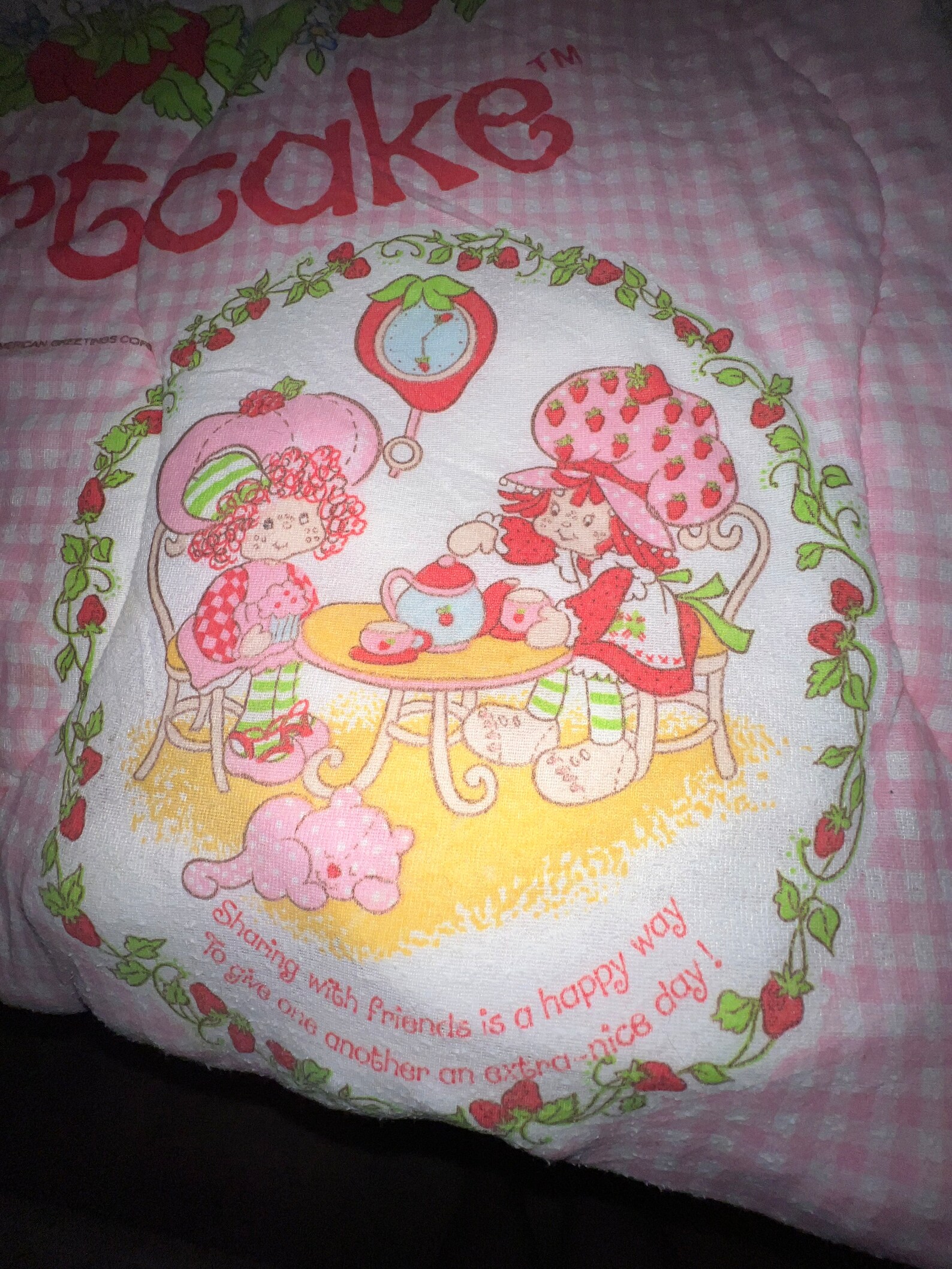 Vintage Rare Strawberry Shortcake 1980's Sleeping Bag - Etsy
