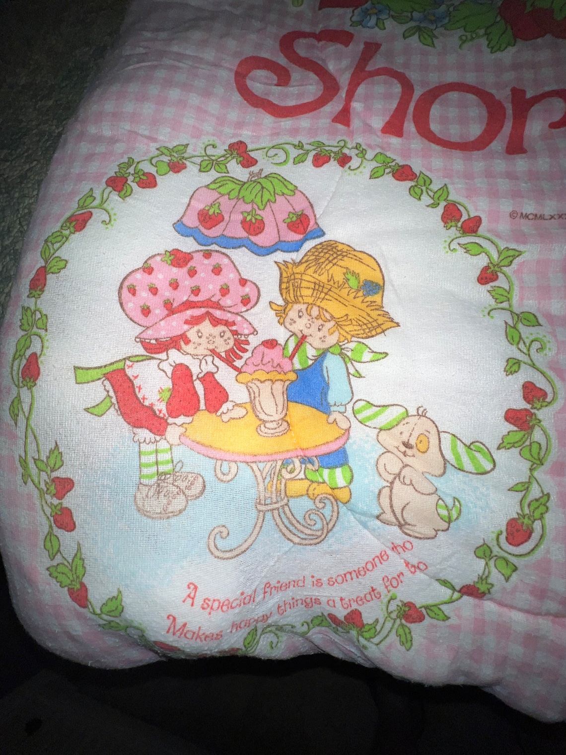 Vintage Rare Strawberry Shortcake 1980's Sleeping Bag - Etsy