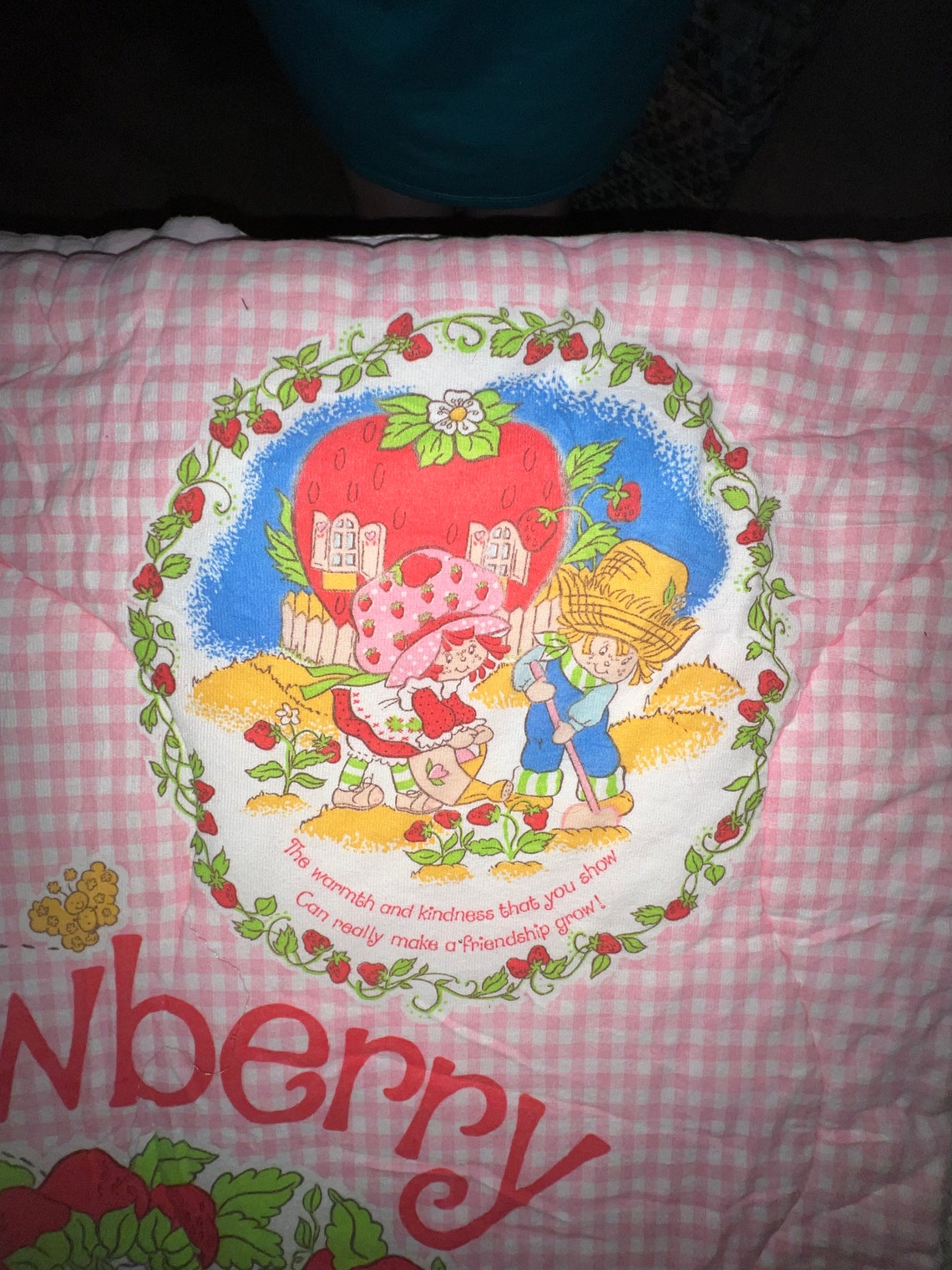 Vintage Rare Strawberry Shortcake 1980's Sleeping Bag - Etsy