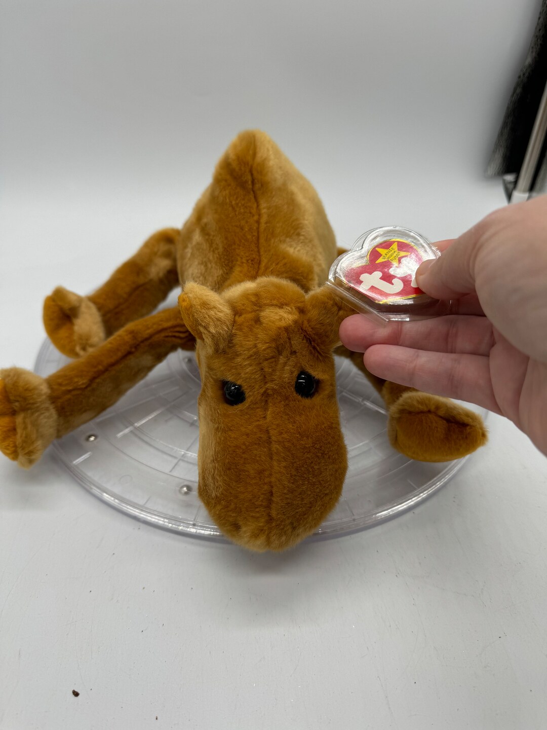 TY Beanie Buddy Humphrey the Camel With Hang Tag and Tush Tag. New Old ...
