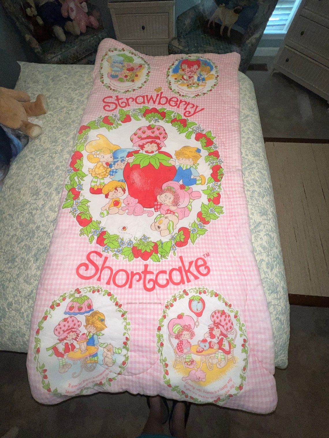 Vintage Rare Strawberry Shortcake 1980's Sleeping Bag - Etsy