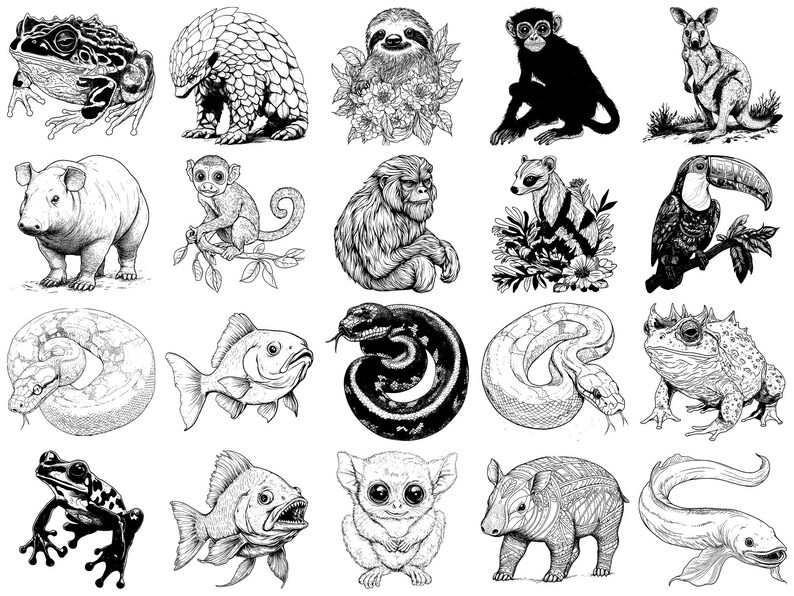 Rainforest Realistic Animals Procreate Stamps & Photoshop Brushes – 100 ...
