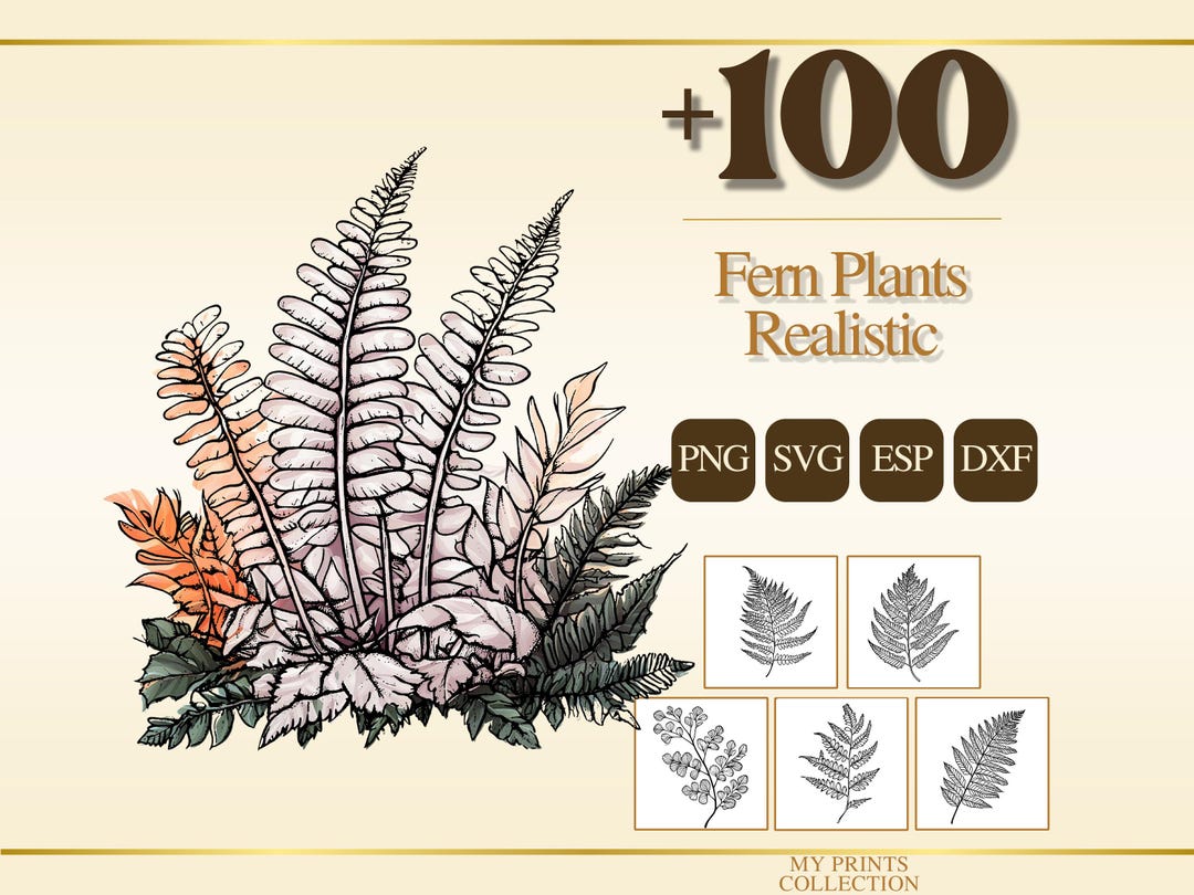 Fern Plants Realistic PNG Bundle – 100+ Cricut & Silhouette Files, SVG ...