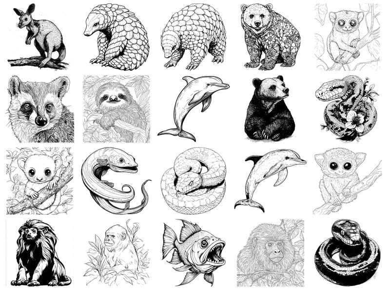 Rainforest Realistic Animals Procreate Stamps & Photoshop Brushes – 100 ...
