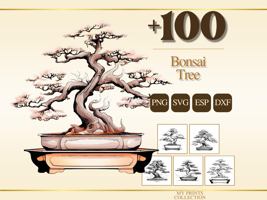 Bonsai Tree Floral PNG Bundle – 100+ Cricut & Silhouette Files, SVG ...