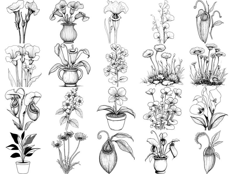 Carnivorous Plants Realistic PNG Bundle – 100+ Cricut & Silhouette ...