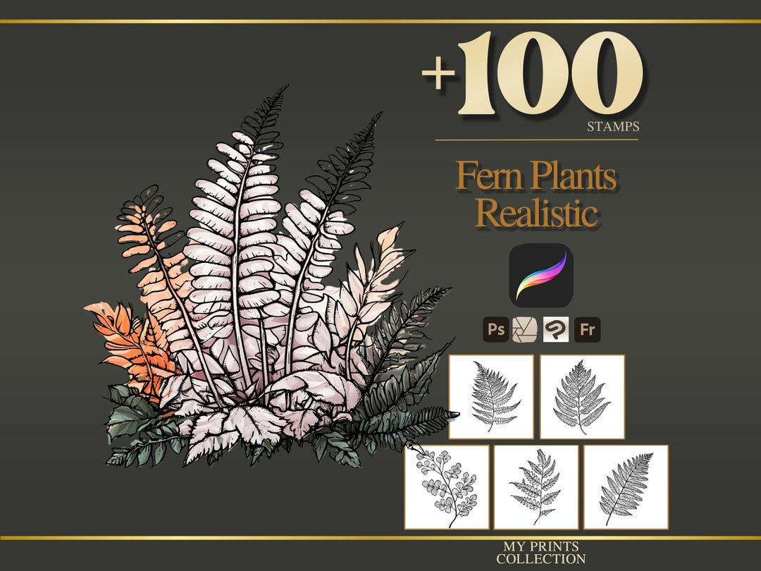Fern Plants Realistic Procreate Stamps & Photoshop Brushes – 100 ...