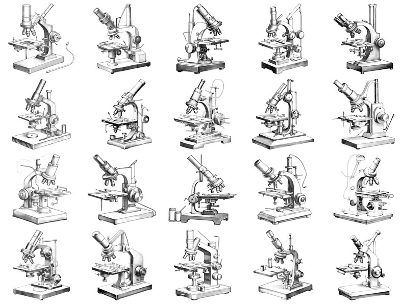 Microscope Photoshop Brushes & Procreate Stamps – 100+ Object Transport ...