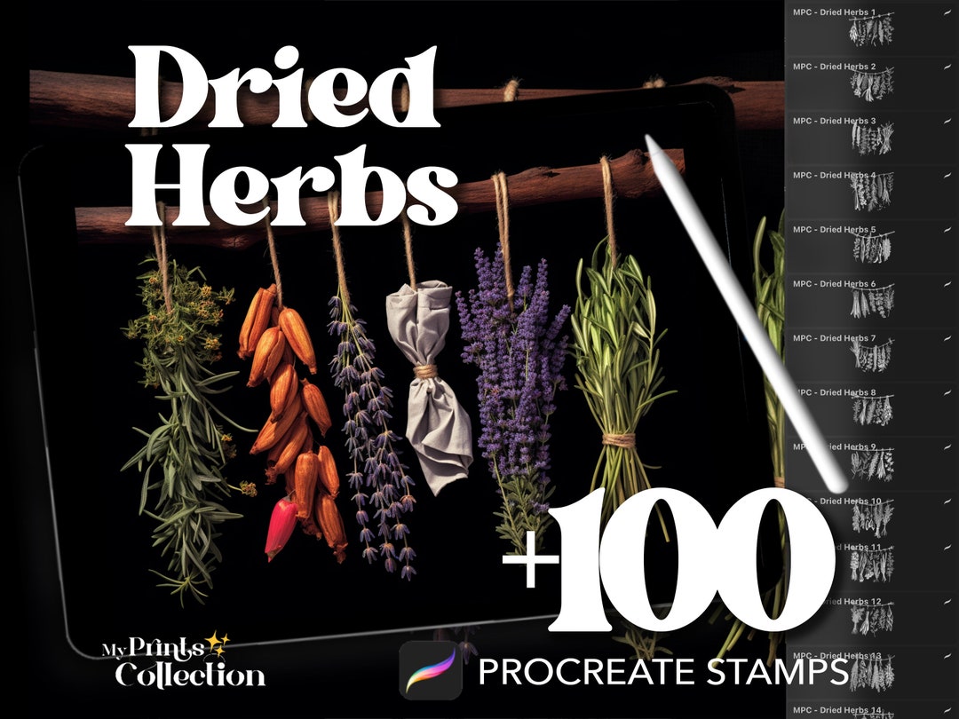 100+ Procreate Dried Herbs Stamps, Floral Flower Nature Botanical Home ...