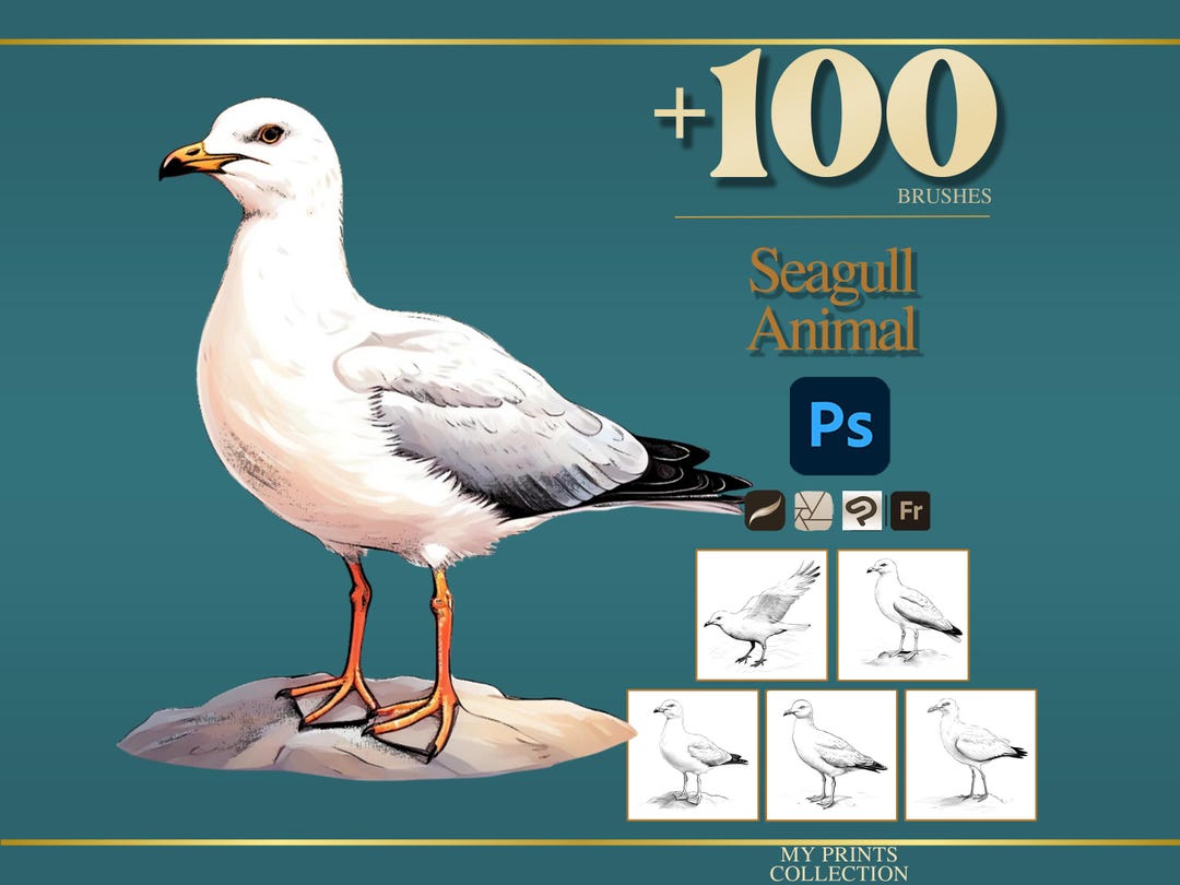 Seagull Photoshop Brushes & Procreate Stamps – 100+ Realistic Animal ...