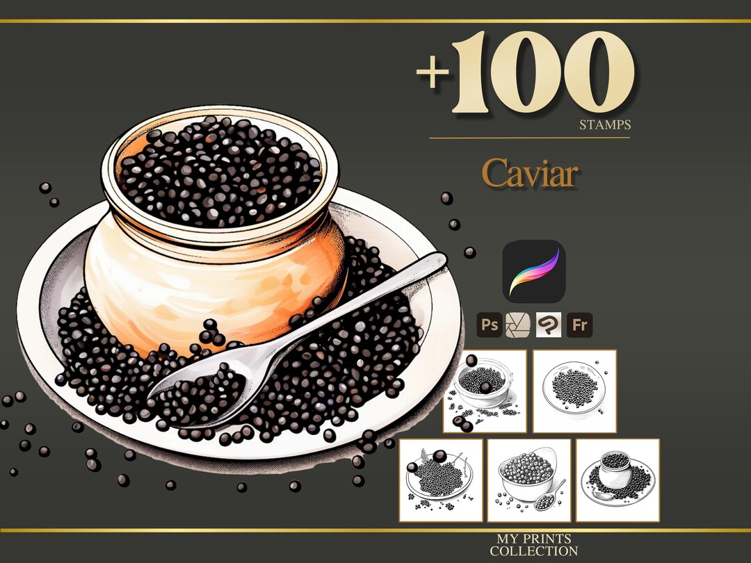 Caviar Procreate Stamps & Photoshop Brushes – 100+ Food Beverage ...
