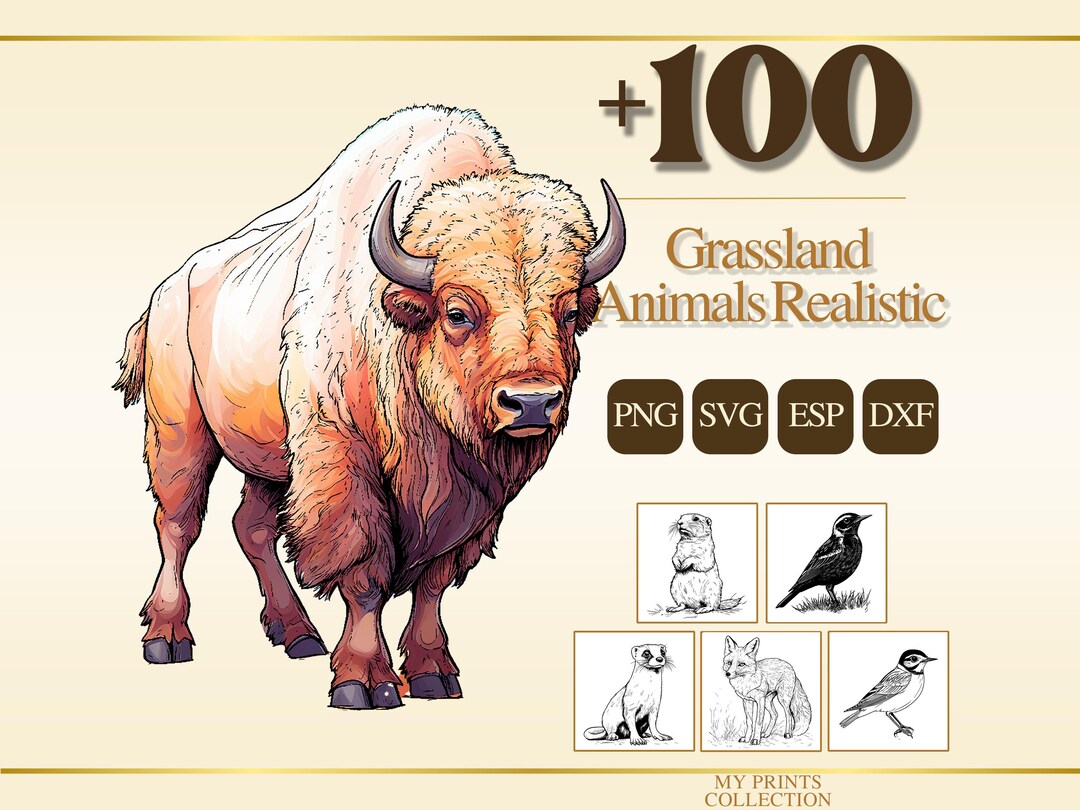 Grassland Animals Realist PNG Bundle – 100+ Cricut & Silhouette Files ...