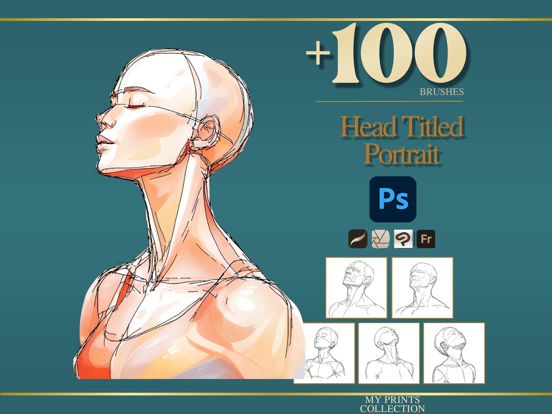 Head Titled Portrait Photoshop Brushes & Procreate Stamps – 100 ...