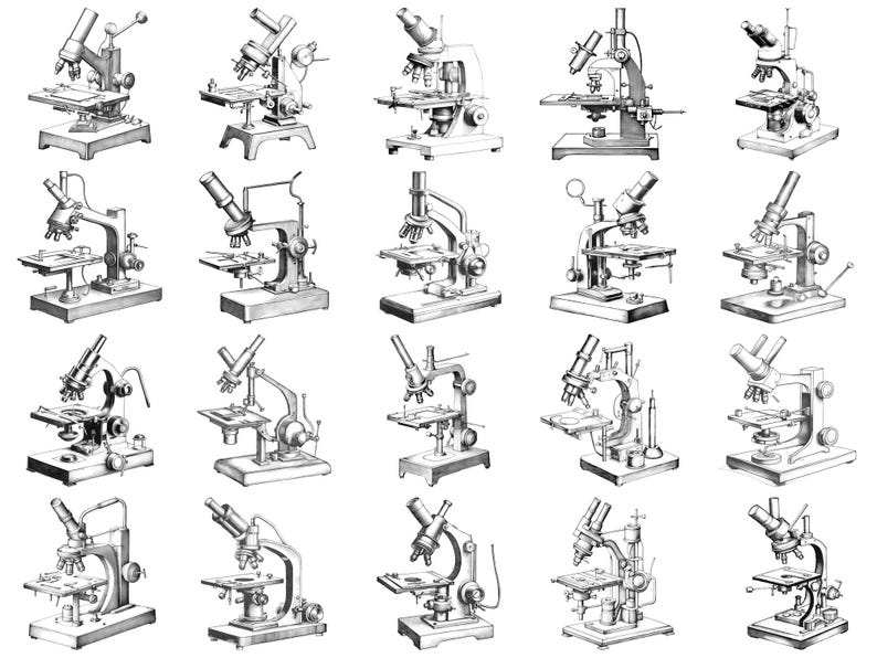 Microscope Photoshop Brushes & Procreate Stamps – 100+ Object Transport ...