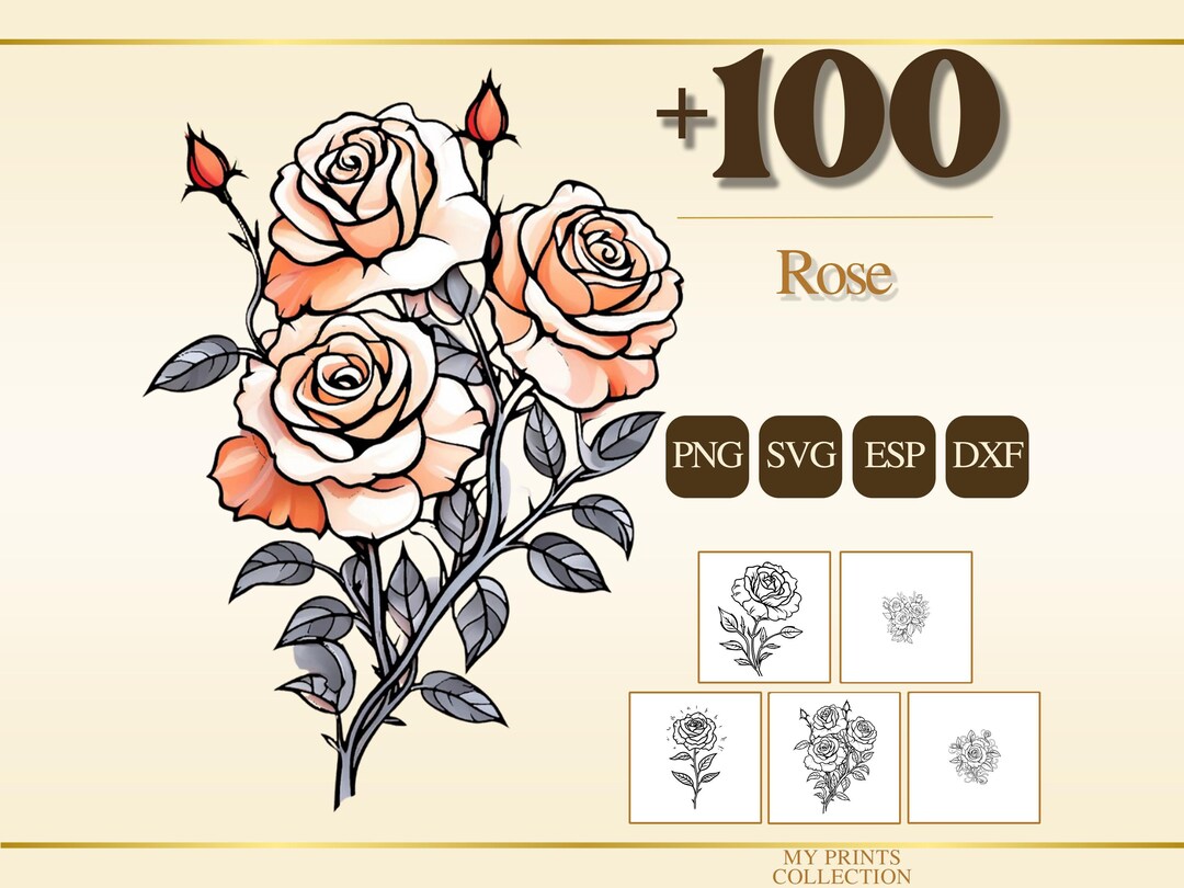 Roses Floral PNG Bundle – 100+ Cricut & Silhouette Files, SVG, DXF, Eps ...
