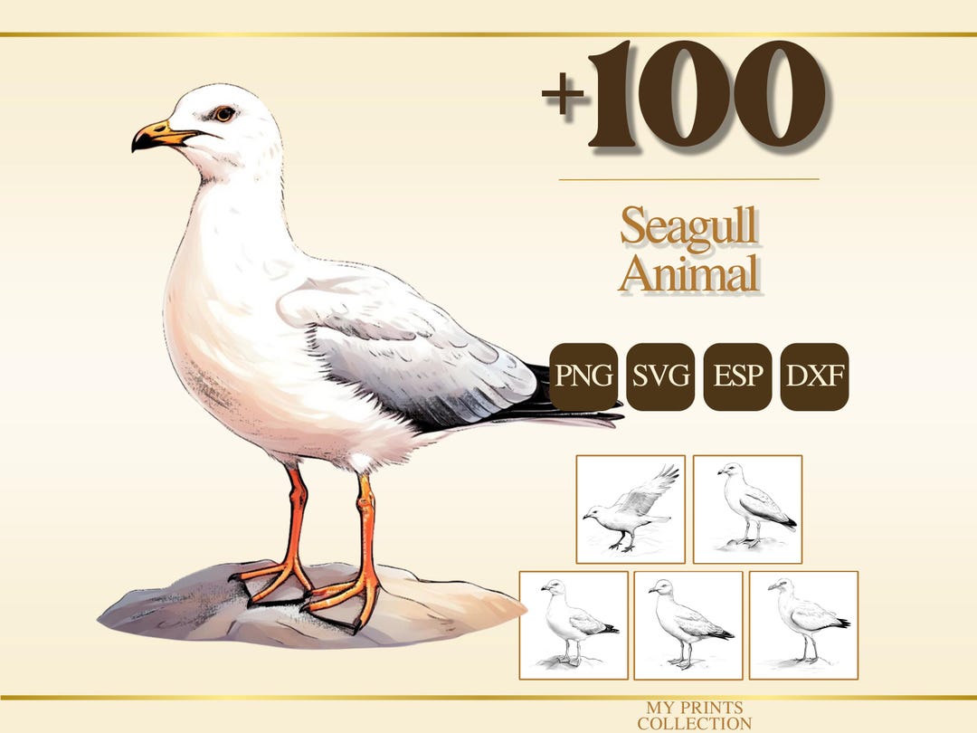 Seagull PNG Bundle – 100+ Cricut & Silhouette Files, SVG, DXF, Eps ...