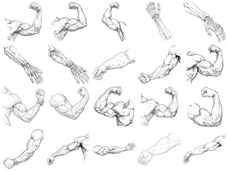 Arm Pose PNG Bundle – 100+ Cricut & Silhouette Files, SVG, DXF, Eps ...
