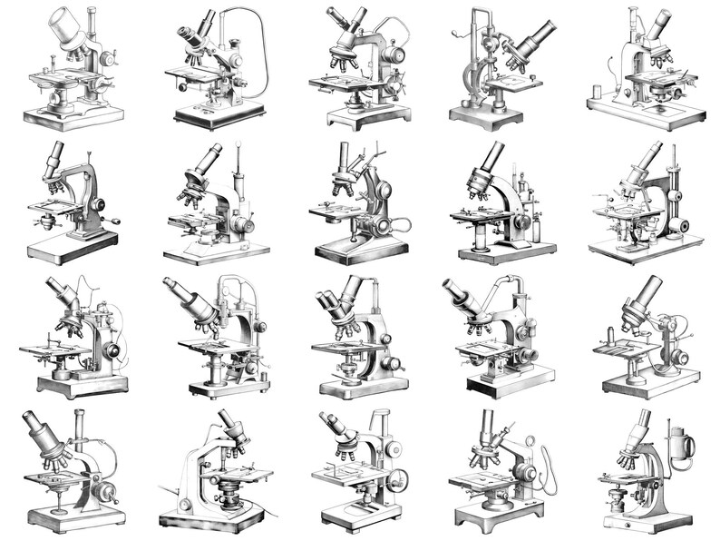 Microscope Photoshop Brushes & Procreate Stamps – 100+ Object Transport ...