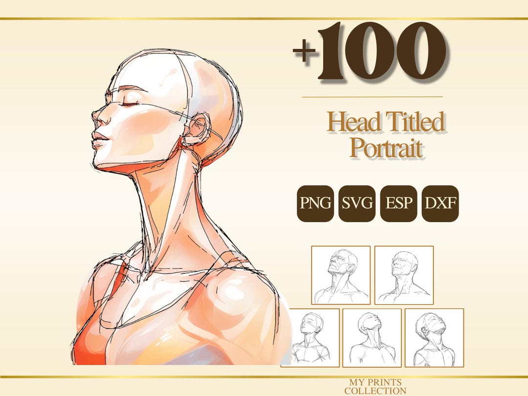 Head Titled Portrait PNG Bundle – 100+ Cricut & Silhouette Files, SVG ...