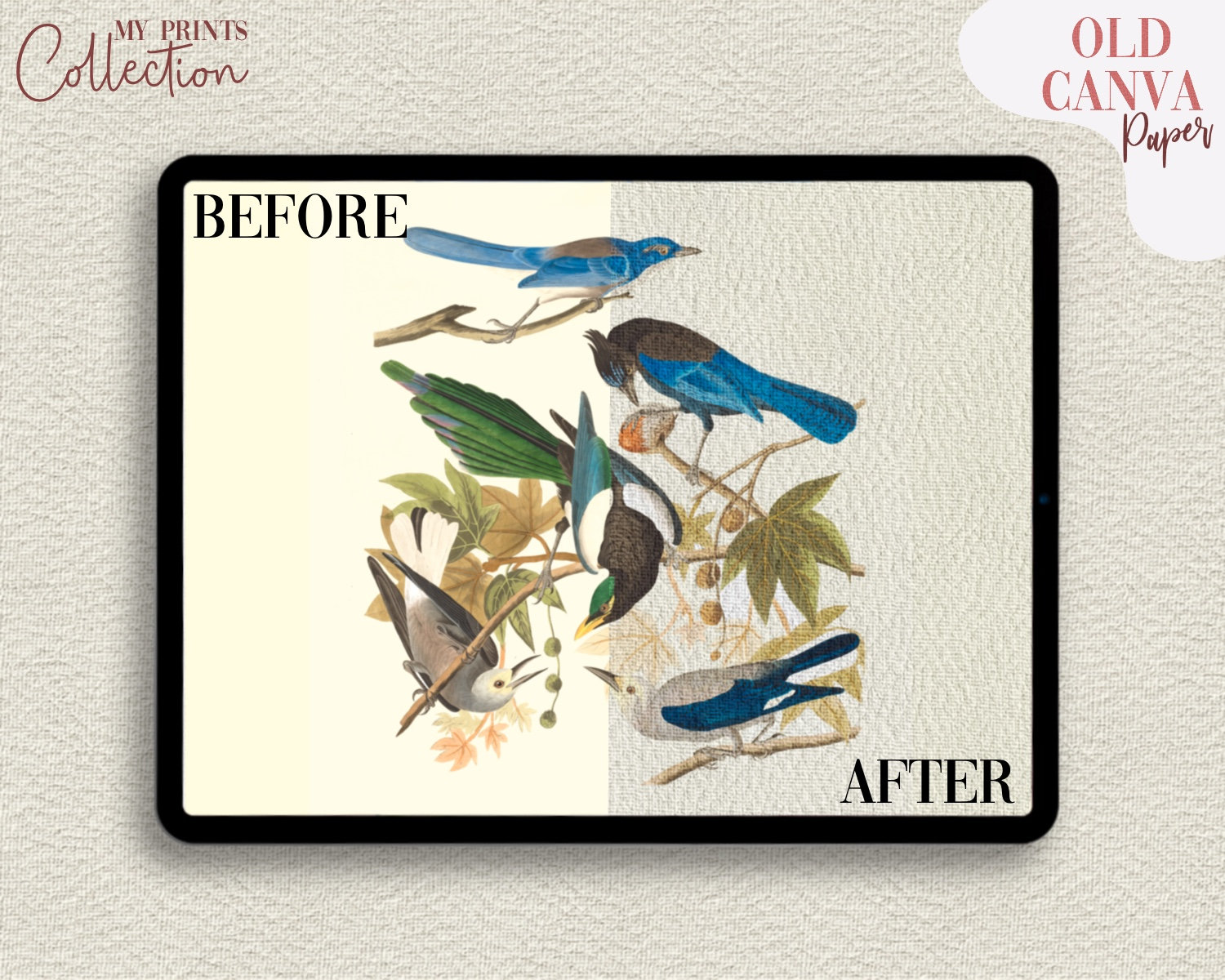 Procreate Old Paper Canva: Realistic Digital Texture (PDF) - Etsy