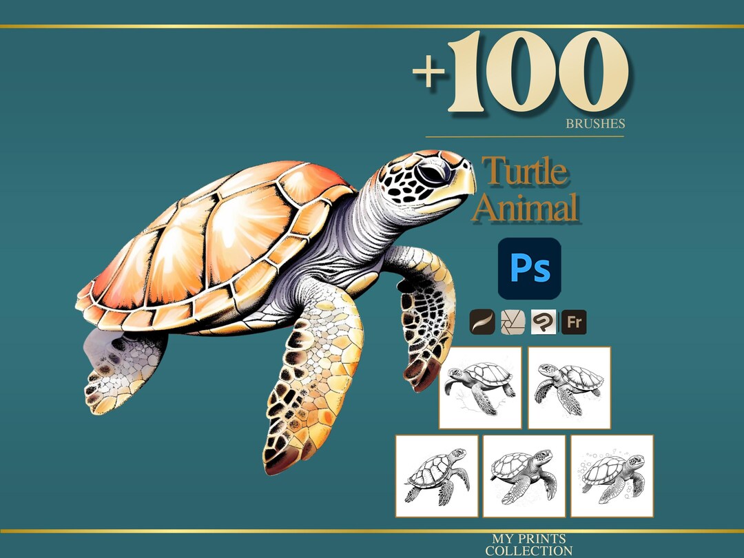 Turtle Photoshop Brushes & Procreate Stamps – 100+ Realistic Animal Pet ...