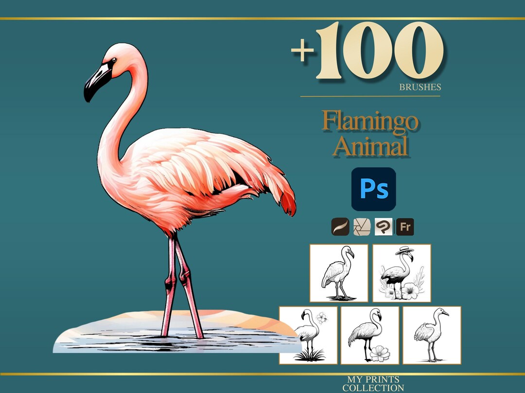 Flamingo Photoshop Brushes & Procreate Stamps – 100+ Realistic Animal ...