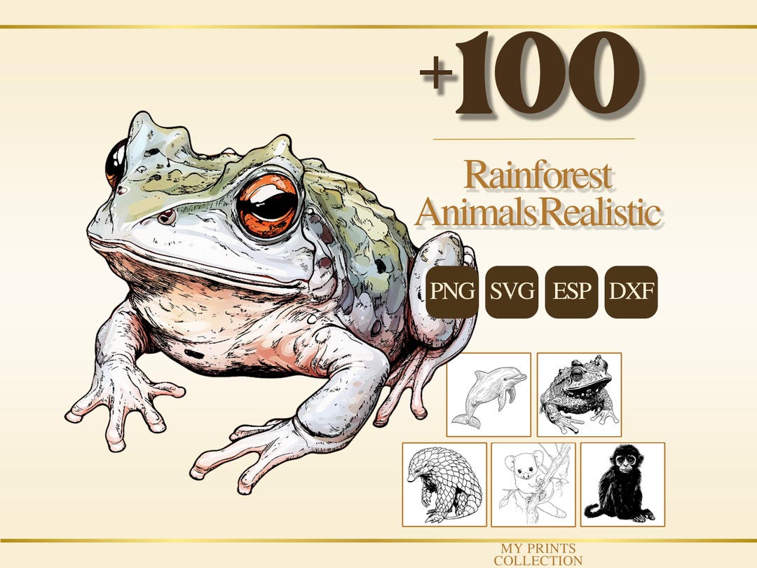 Rainforest Animals Realistic PNG Bundle – 100+ Cricut & Silhouette ...