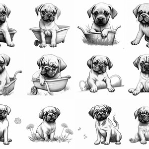 100 Procreate Pug Love Stamps, Animal Dog Valentines Day Love Romantic ...