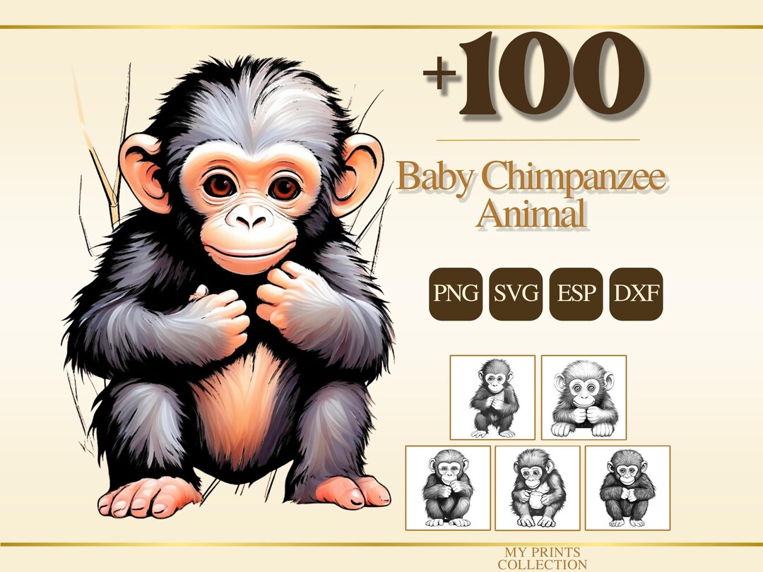 Baby Chimpanzee PNG Bundle – 100+ Cricut & Silhouette Files, SVG, DXF ...