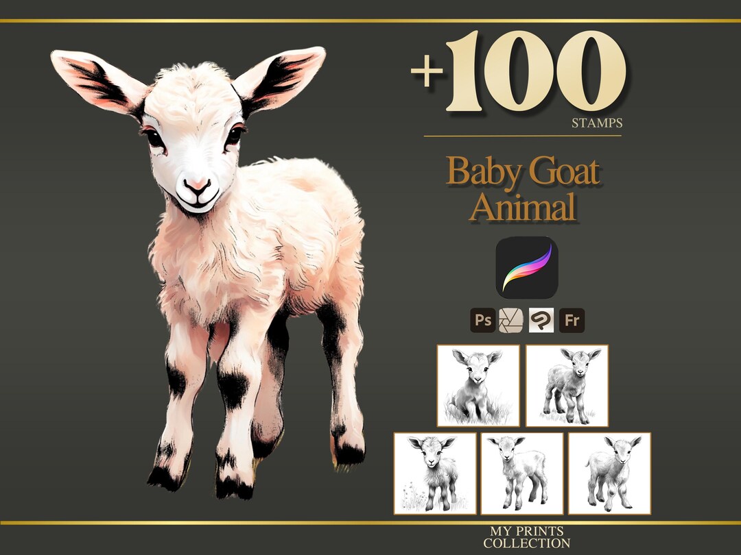 Baby Goat Procreate Stamps & Photoshop Brushes – 100+ Realistic Animal ...