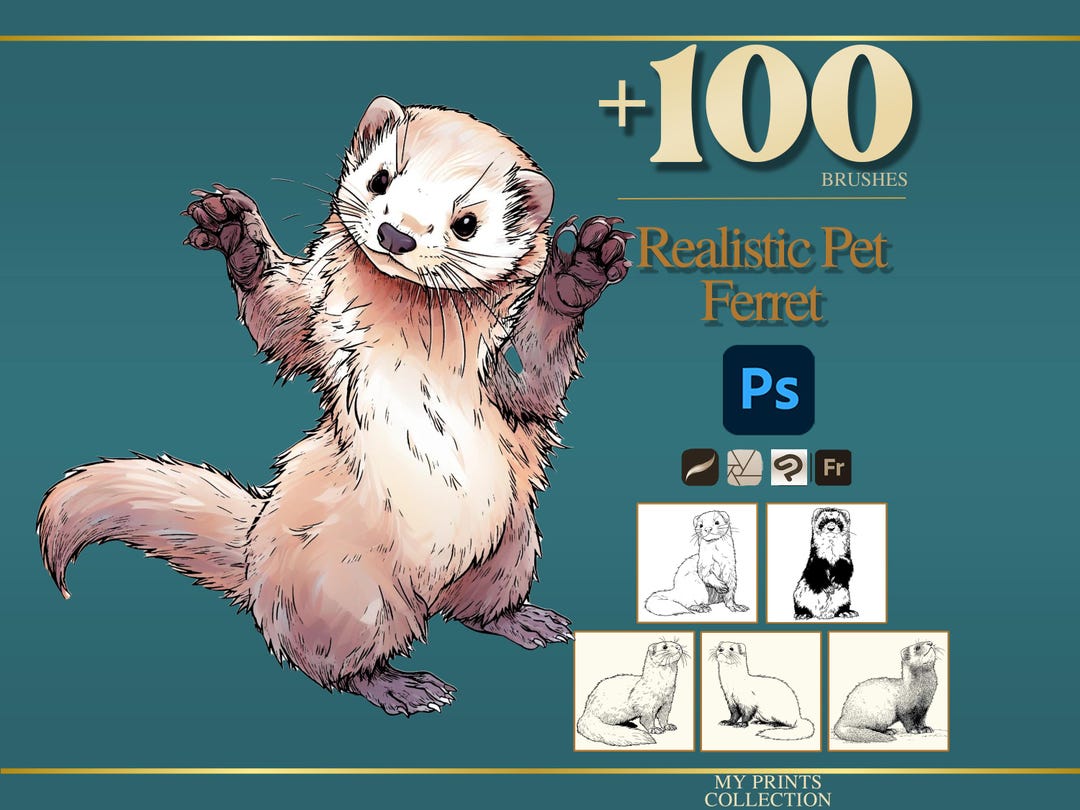 Ferret Pet Realistic Photoshop Brushes & Procreate Stamps – 100+ Tattoo ...