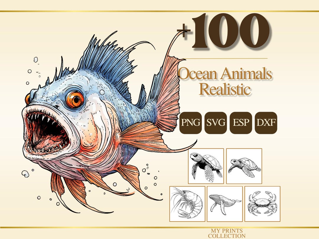 Ocean Animals Realistic PNG Bundle – 100+ Cricut & Silhouette Files ...