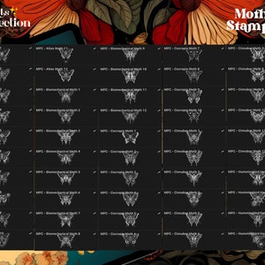 100+ Procreate Moth Stamps, Atlas Luna Biomechanical Cecropia Cinnabar ...