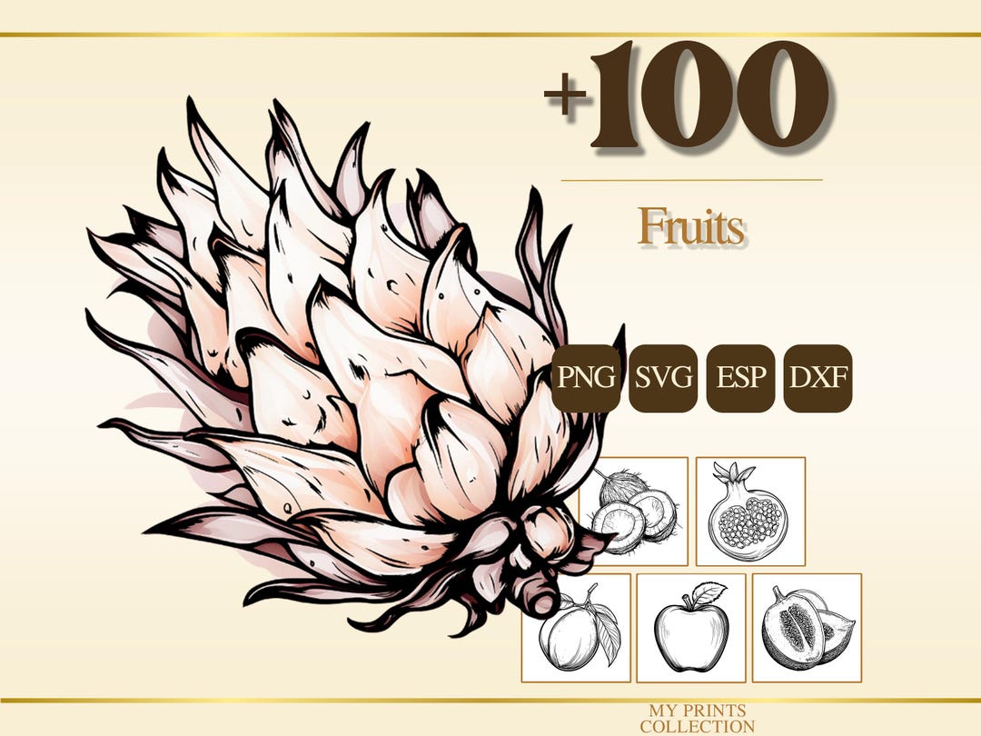 Fruits PNG Bundle – 100+ Cricut & Silhouette Files, SVG, DXF, Eps ...