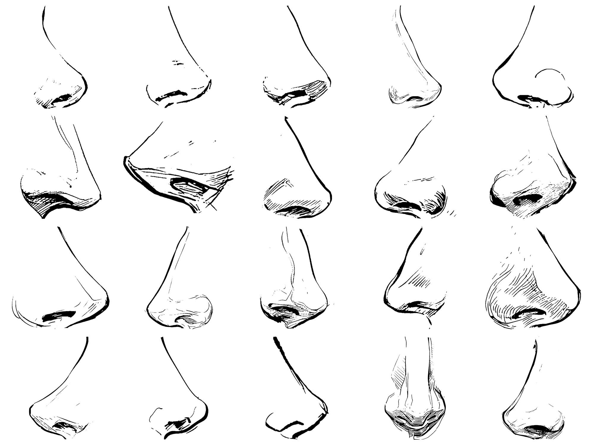 Nose Portrait Photoshop Brushes & Procreate Stamps – 100+ Composition ...