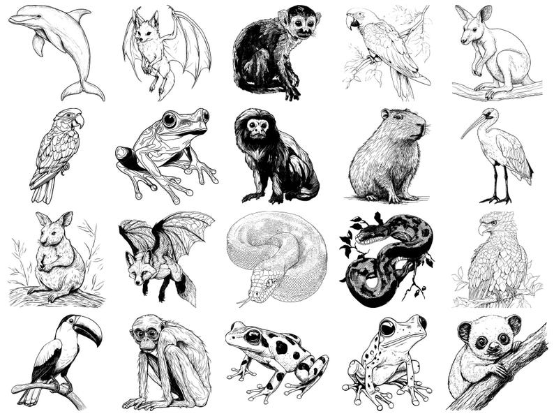 Rainforest Realistic Animals Procreate Stamps & Photoshop Brushes – 100 ...