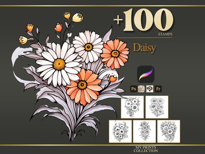 Daisy Procreate Stamps & Photoshop Brushes – 100+ Flower Botanical ...