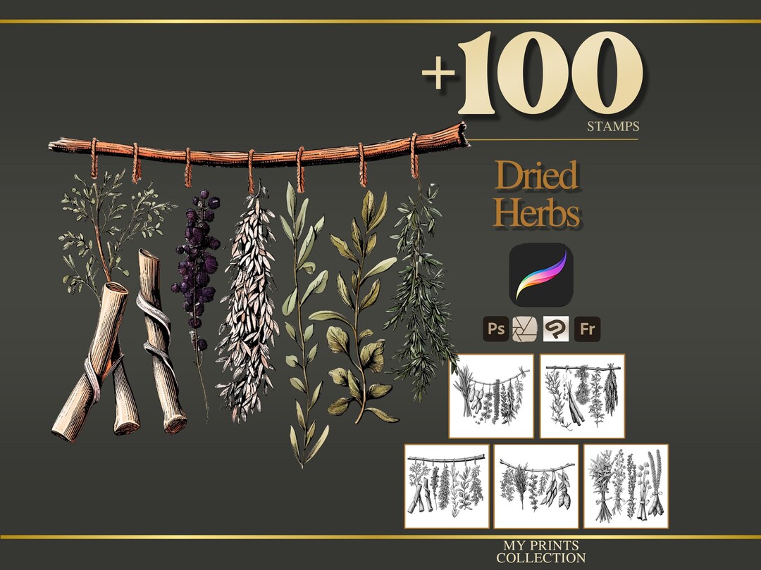 Dried Herbs Procreate Stamps & Photoshop Brushes – 100+ Flower ...