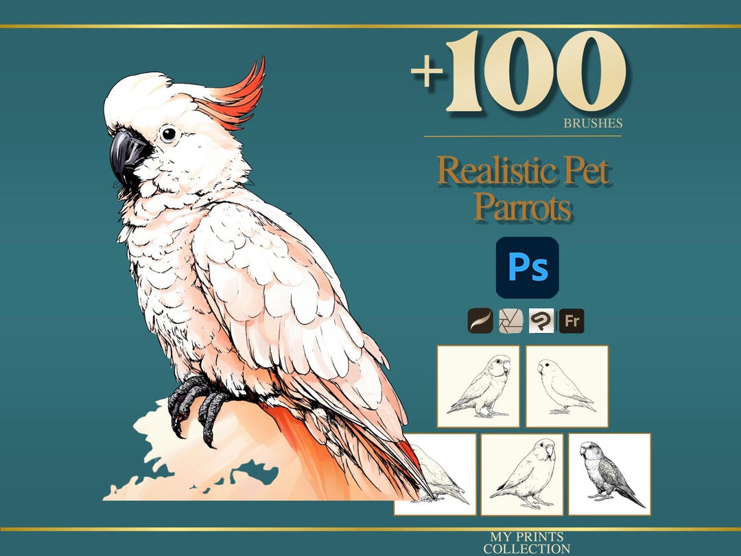 Parrots Pet Realistic Photoshop Brushes & Procreate Stamps – 100 ...