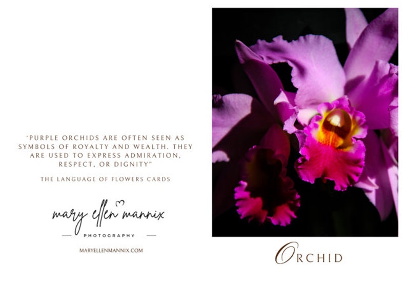 Language of Flowers Cards - Etsy