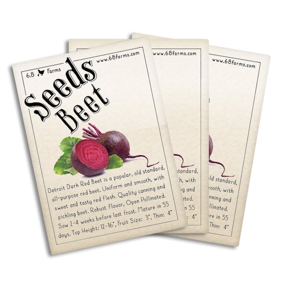 Beet Detroit Dark Red Seeds | Etsy