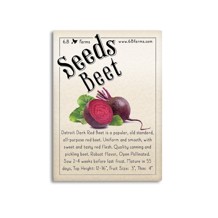 Beet Detroit Dark Red Seeds - Etsy