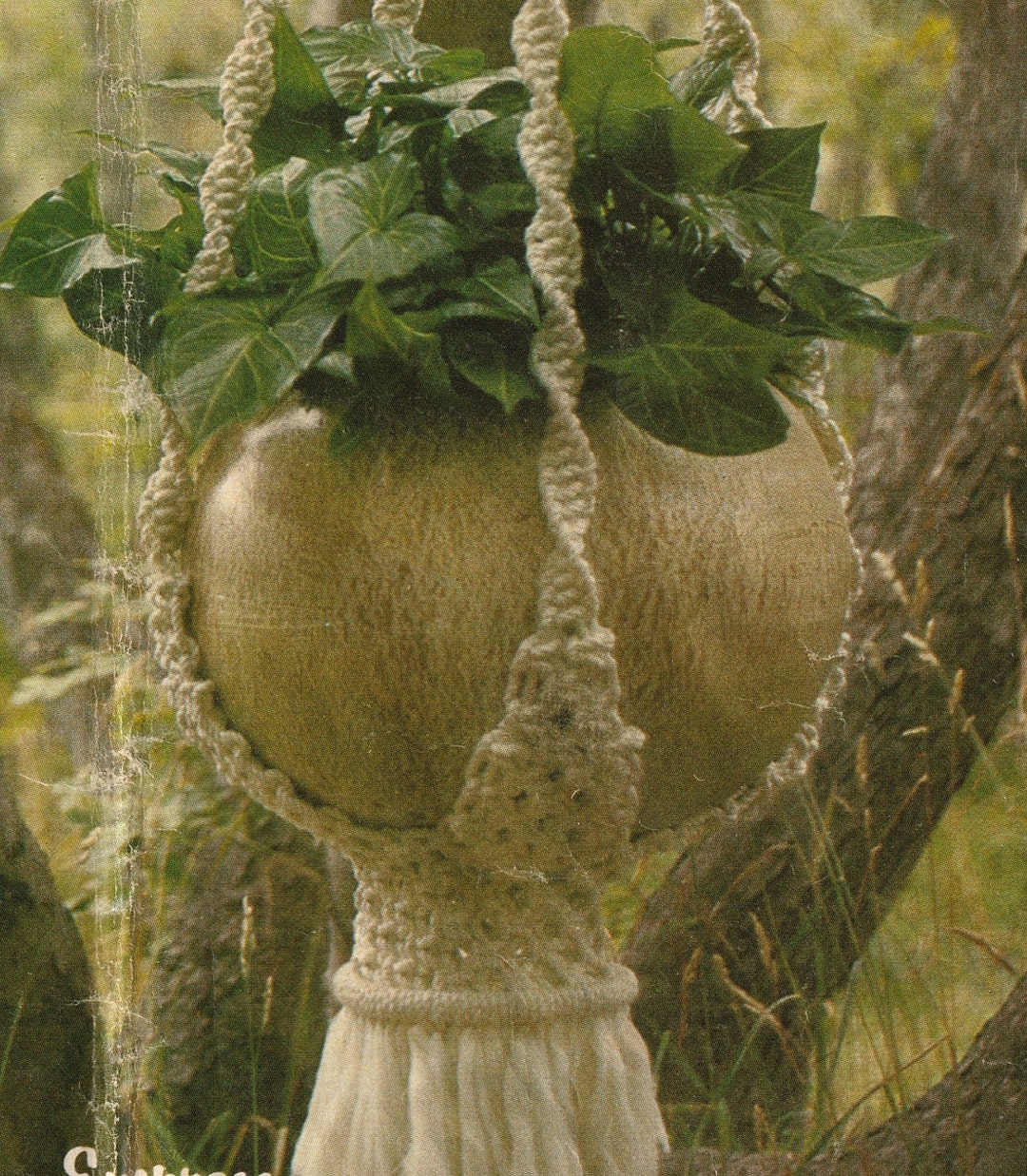 Empress Vintage Macrame Hanger Pattern PDF 1976 - Etsy