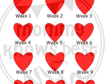 12 Week Weight Loss Scales Tracker Chart Slimming Log Planner | Etsy