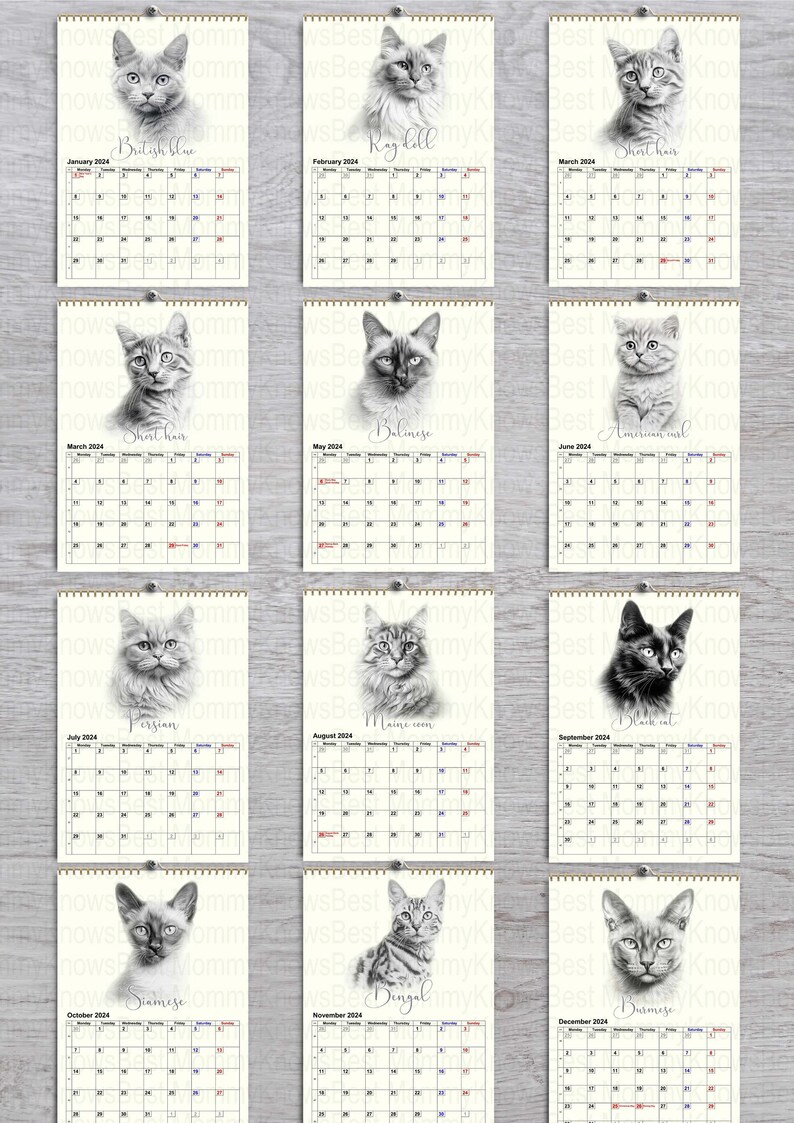 2024 Sketched Cats Calendar. 12 Months, Monthly View, Wall Organiser A4 ...