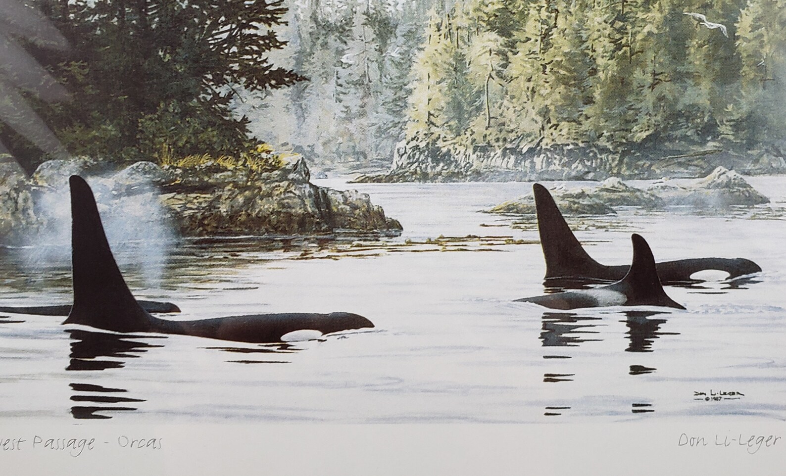 2 Art Cards blackfish Sound by Bruce Muir & | Etsy