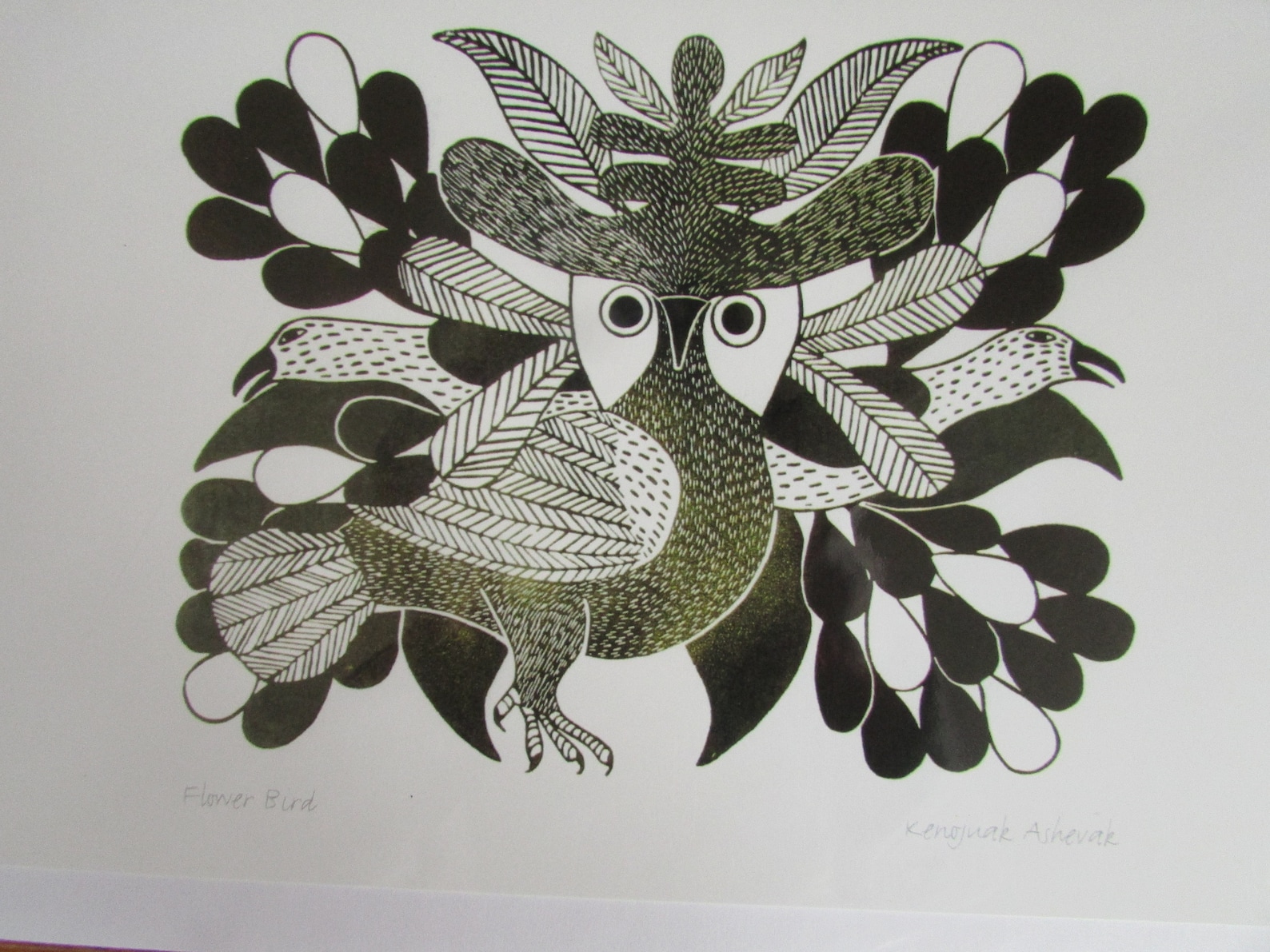 NEW Set of 4 Art Cards by Inuit Artist Kenojuak Ashevak Inuit | Etsy